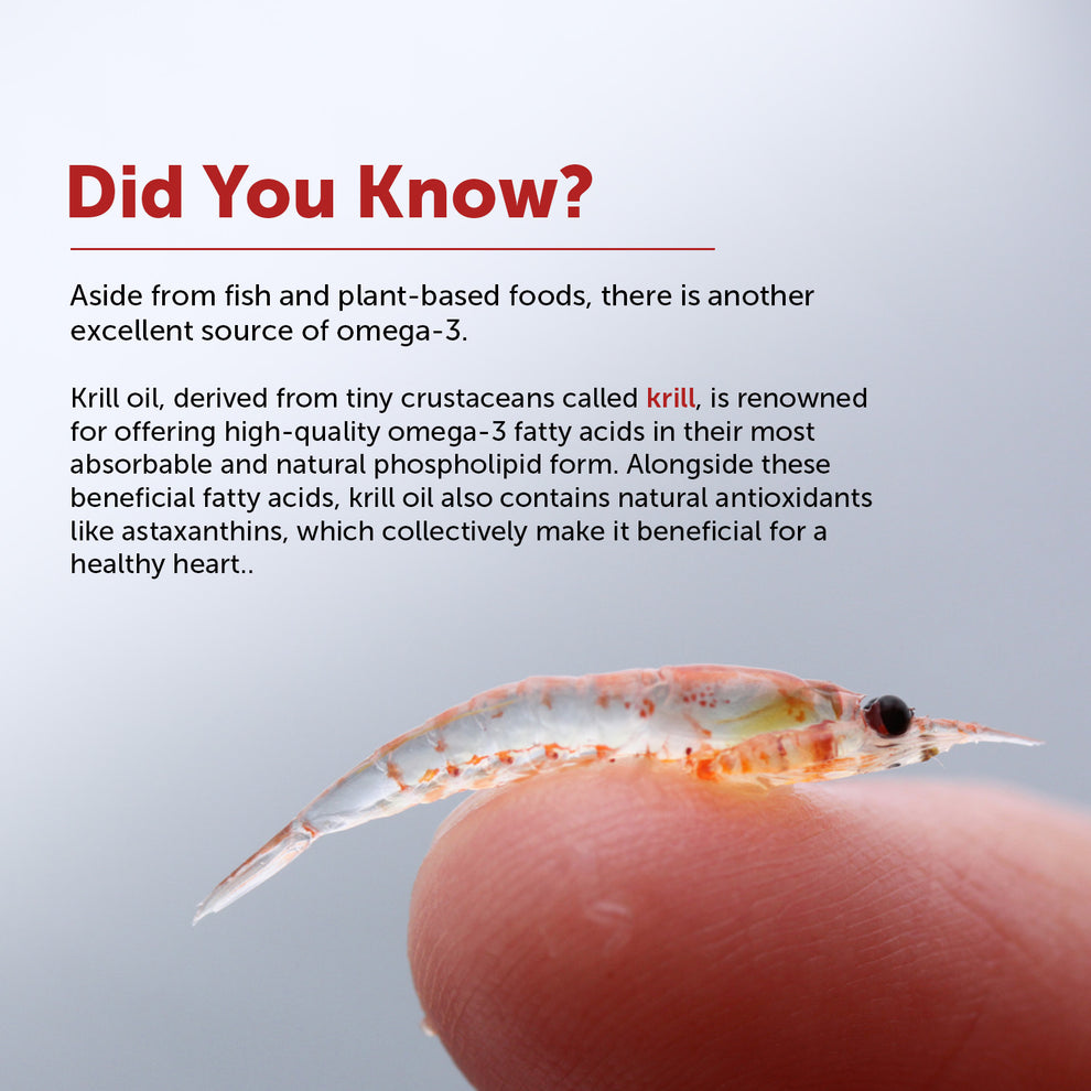 Buy Omega 3 Krill Oil Capsules, Tablets & Supplement Online
