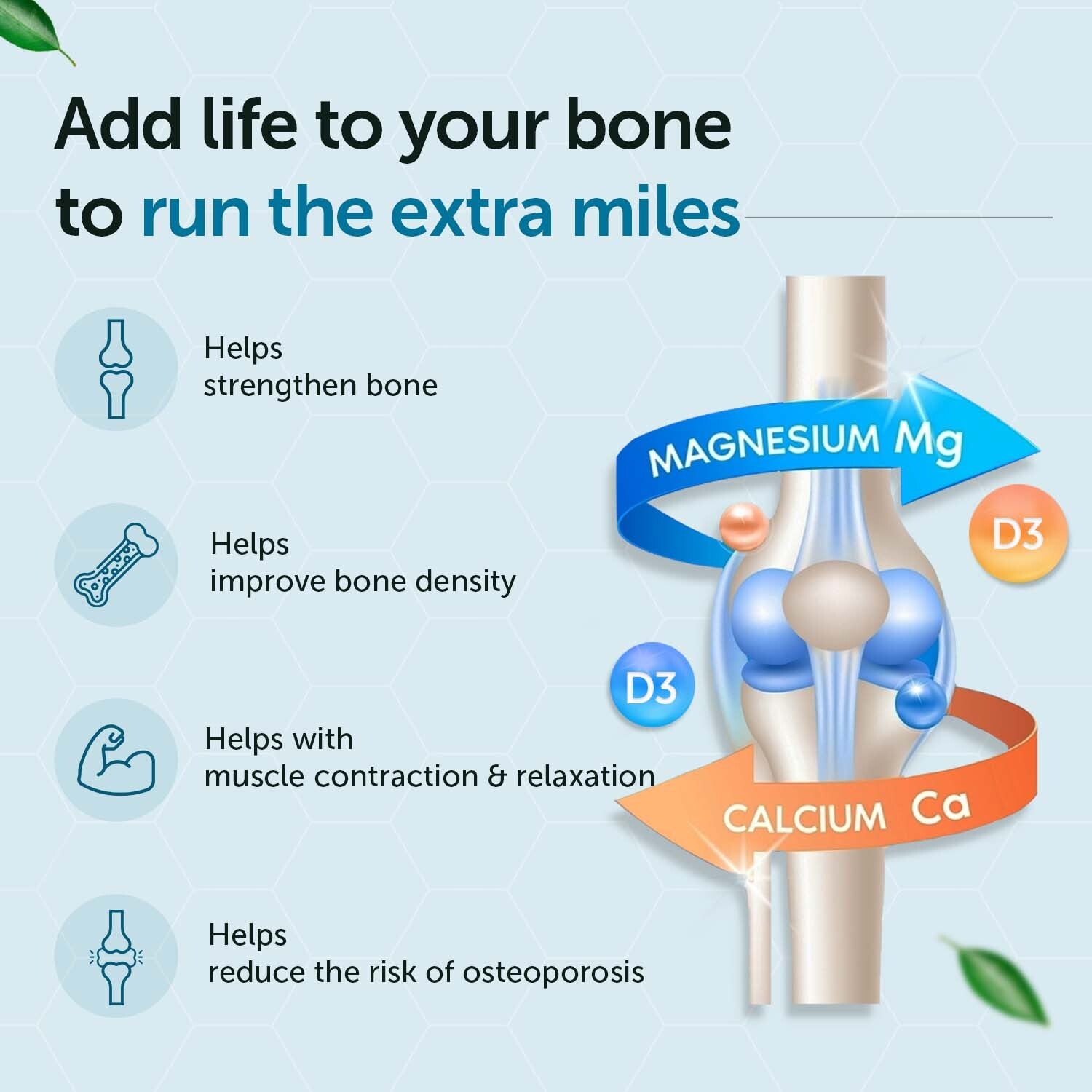 True Calcium Tablets with Plant Vitamin D3 for Stronger Bones